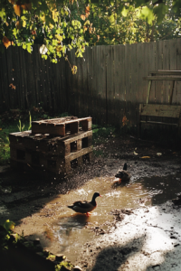 50+ Duck Coop Ideas DIY | Homestead Authority