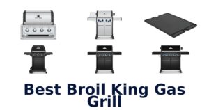 Best Broil King Gas Grills: Top 10 Picks | Homestead Authority
